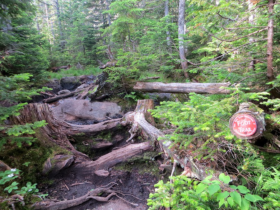 Hiking in the White Mountains: Great Range Traverse