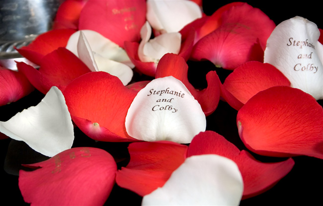 Beautifull Flowers 2011: wedding rose petals