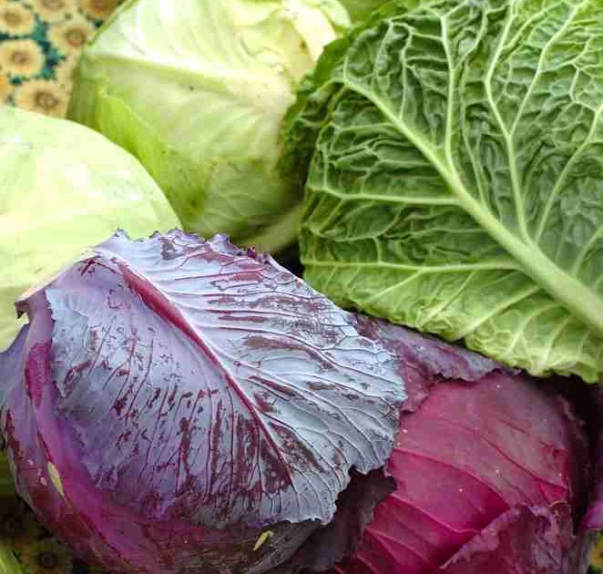 Cocinar sin secretos: Hoy preparamos repollo