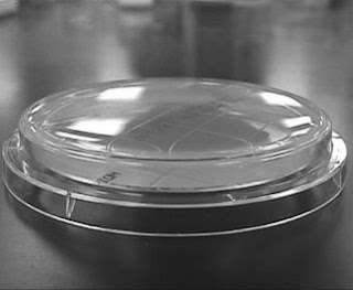 RODAC Plates and Their use in Pharmaceuticals : Pharmaceutical Guidelines