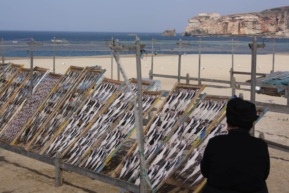 Museu Dr. Joaquim Manso - Nazaré: Descubra o Património Imaterial da ...