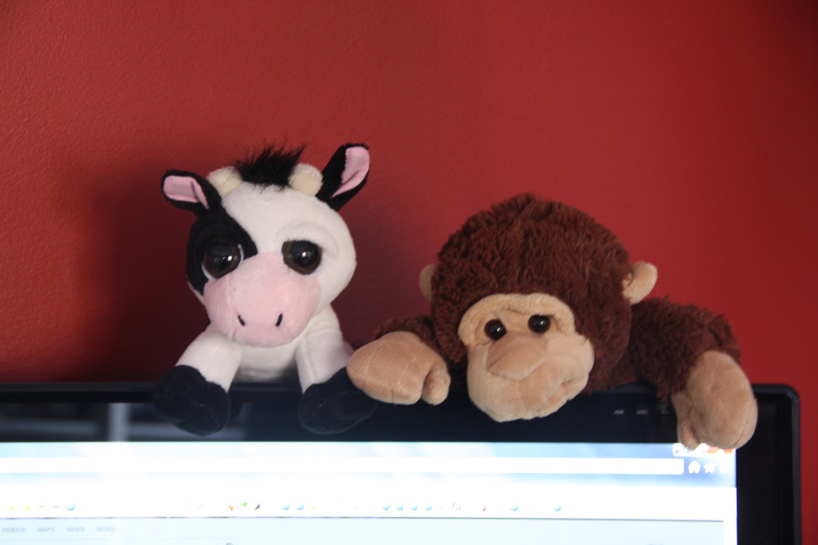 The Shupeville Zoo: Cows and monkeys and butterflies