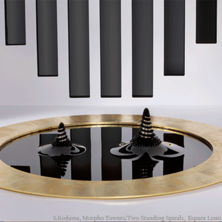 Arte en el ferrofluido - El ferrofluido