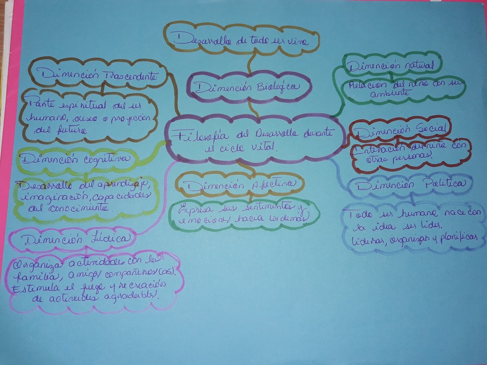 Áreas del desarrollo