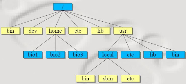 Linux Server Solutions and Linux Server Administration Commands
