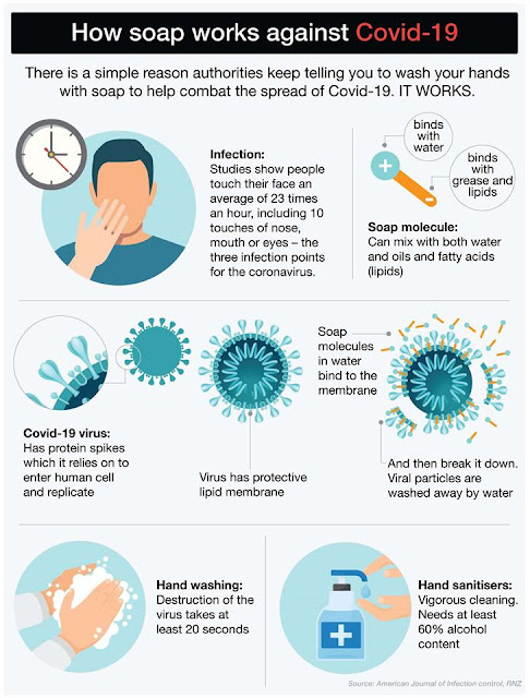 The Daily Gaggle: How Soap Works Against Covid-19