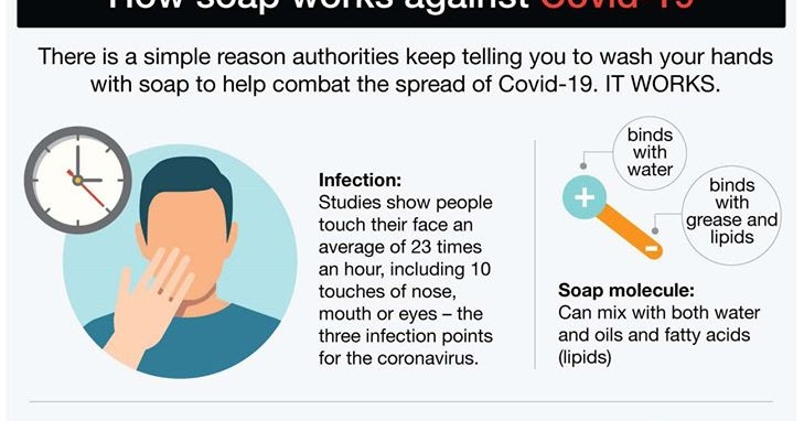 The Daily Gaggle: How Soap Works Against Covid-19