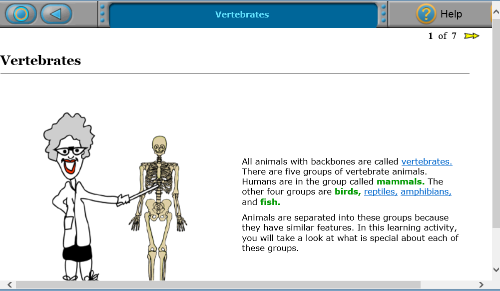 Brandi Raae: Time4Learning {Schoolhouse Review}