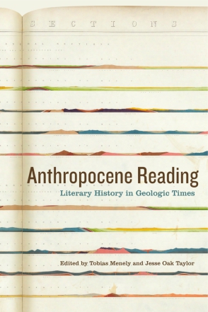 In the Middle: Anthropocene Reading: Literary History in Geologic Times
