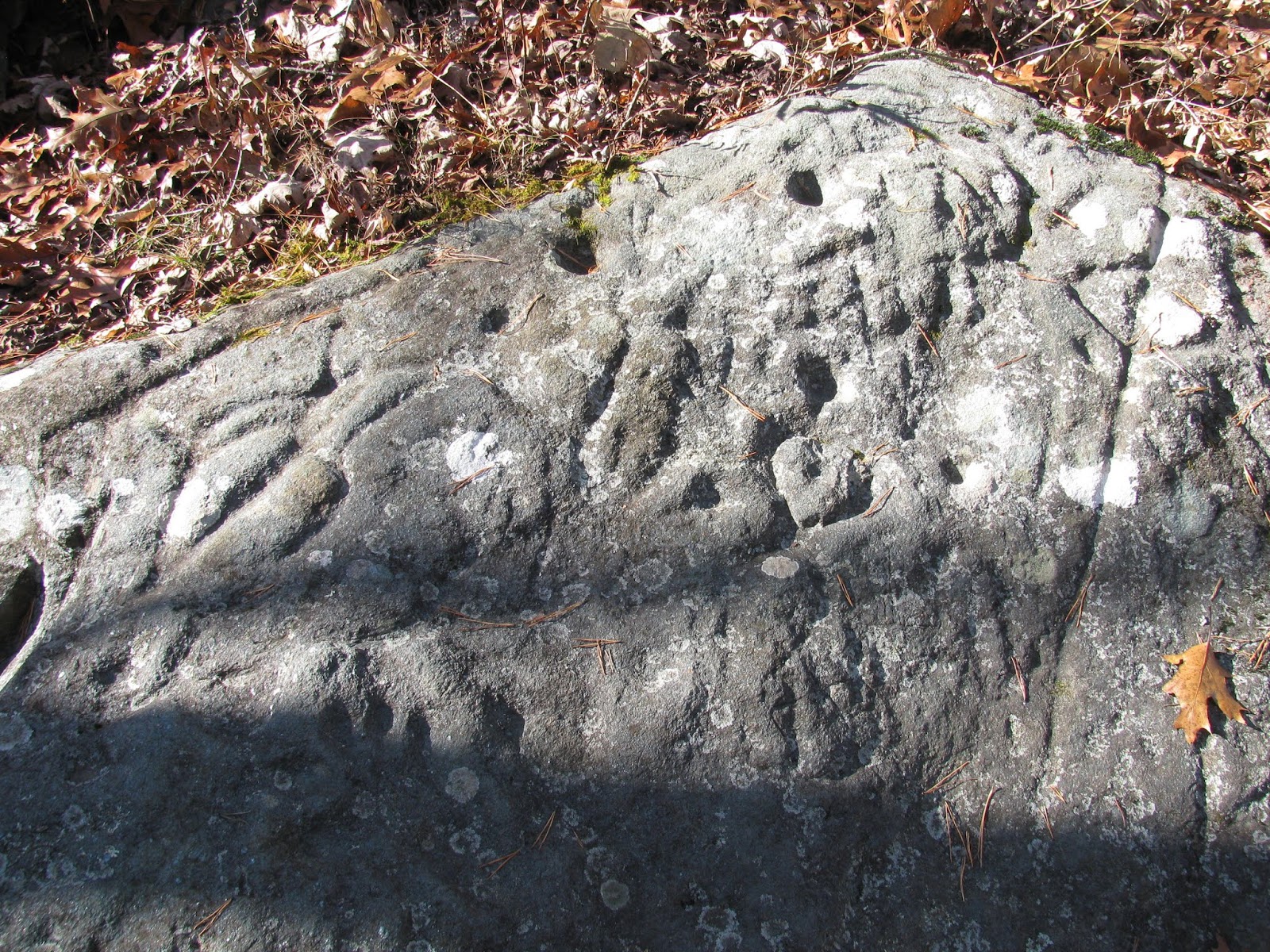 Weekend Wanderluster: Track Rock Gap Petroglyphs (Union County, Georgia)