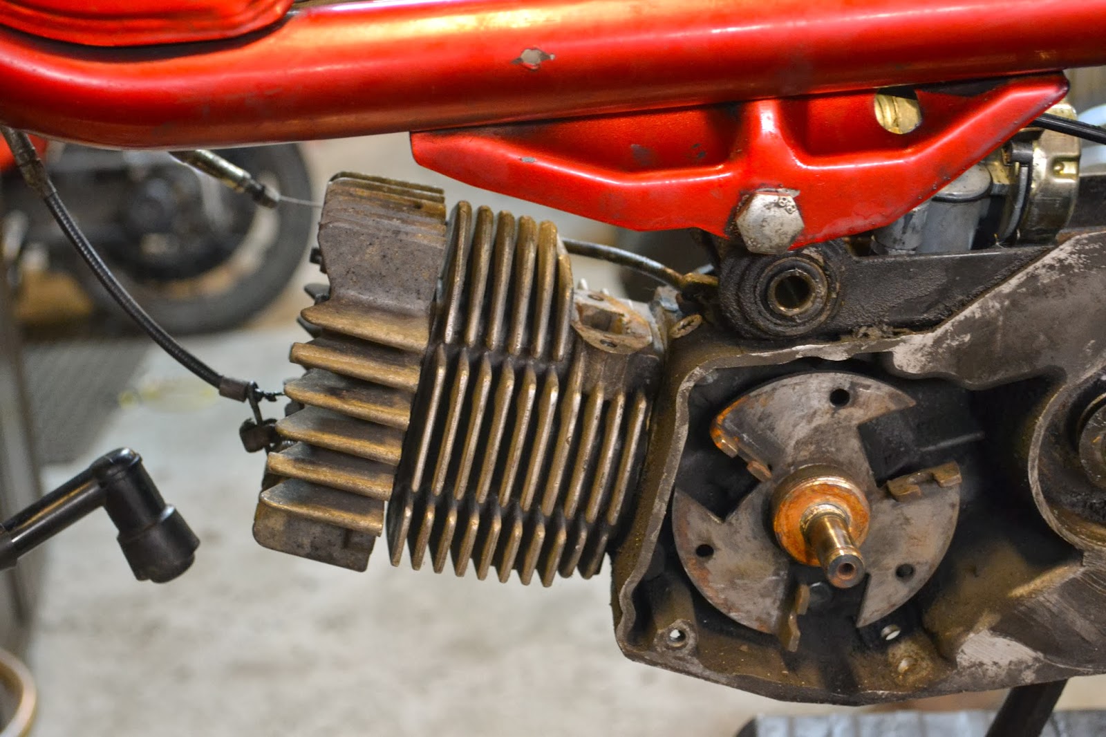 Home Alone with Mopeds.: My "This Ole" Motobecane M11 Post. PIC HEAVY!