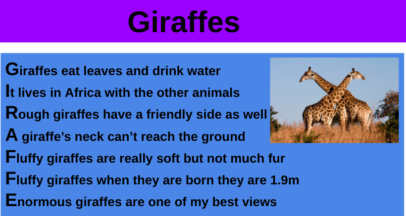 Marleigh@Hornby Primary School: My Giraffe poem