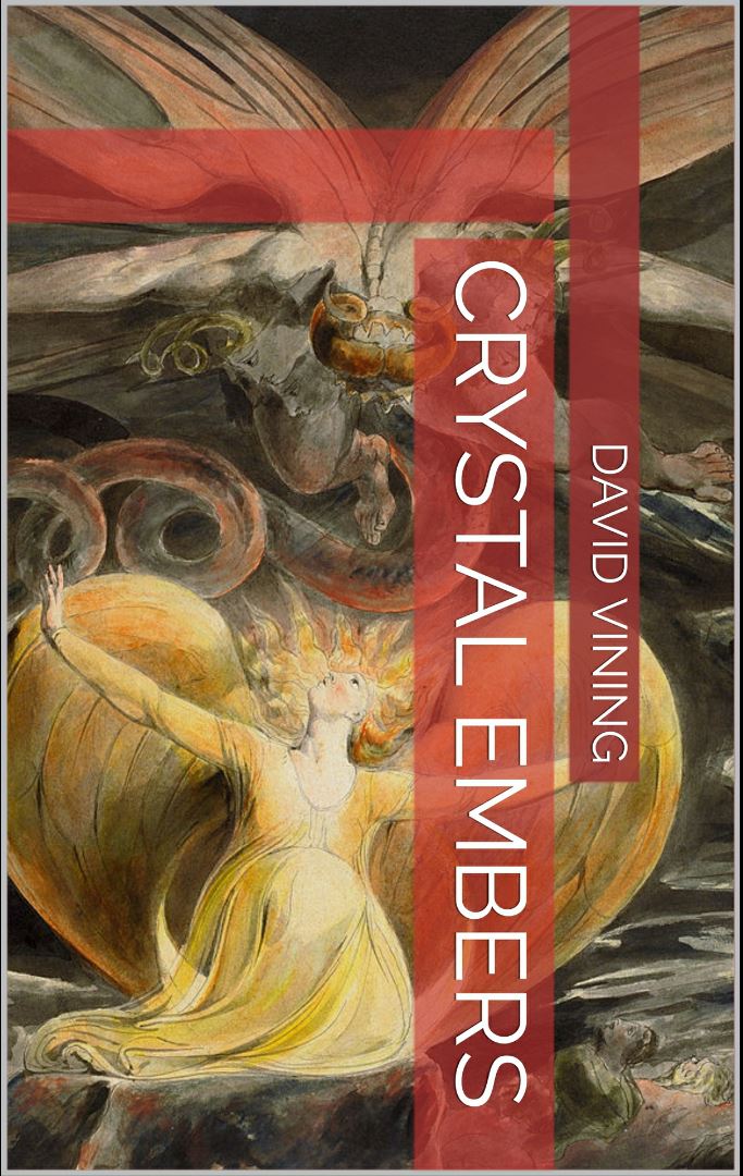 Book Reviews and More: The Sharp Kid - David Vining