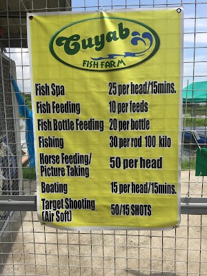 Public and Private Resort Review: Cuyab Hot Warm Cold Spring Resort in ...