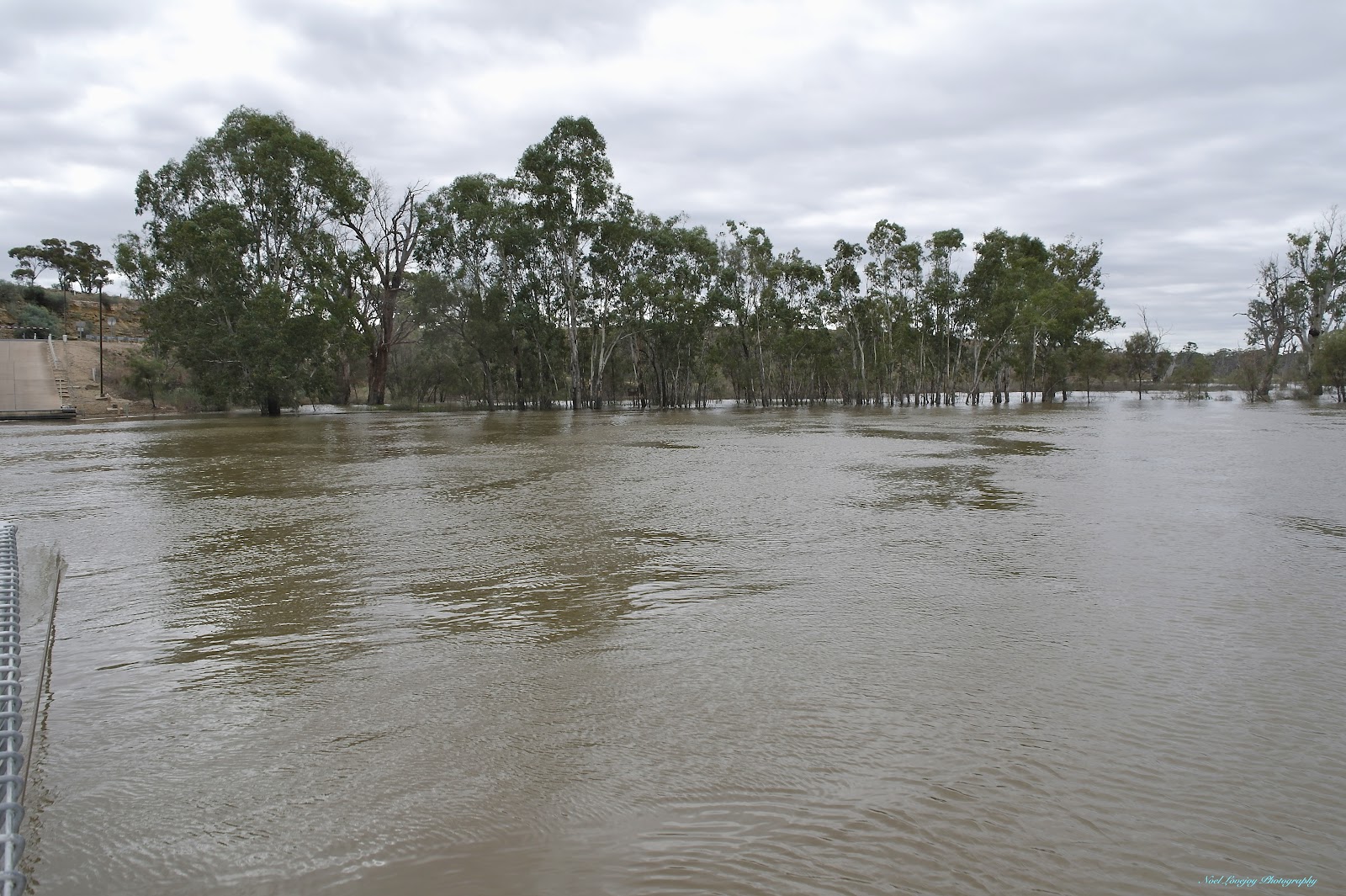 Can Go Around Australia: Murray River, Lower Reaches
