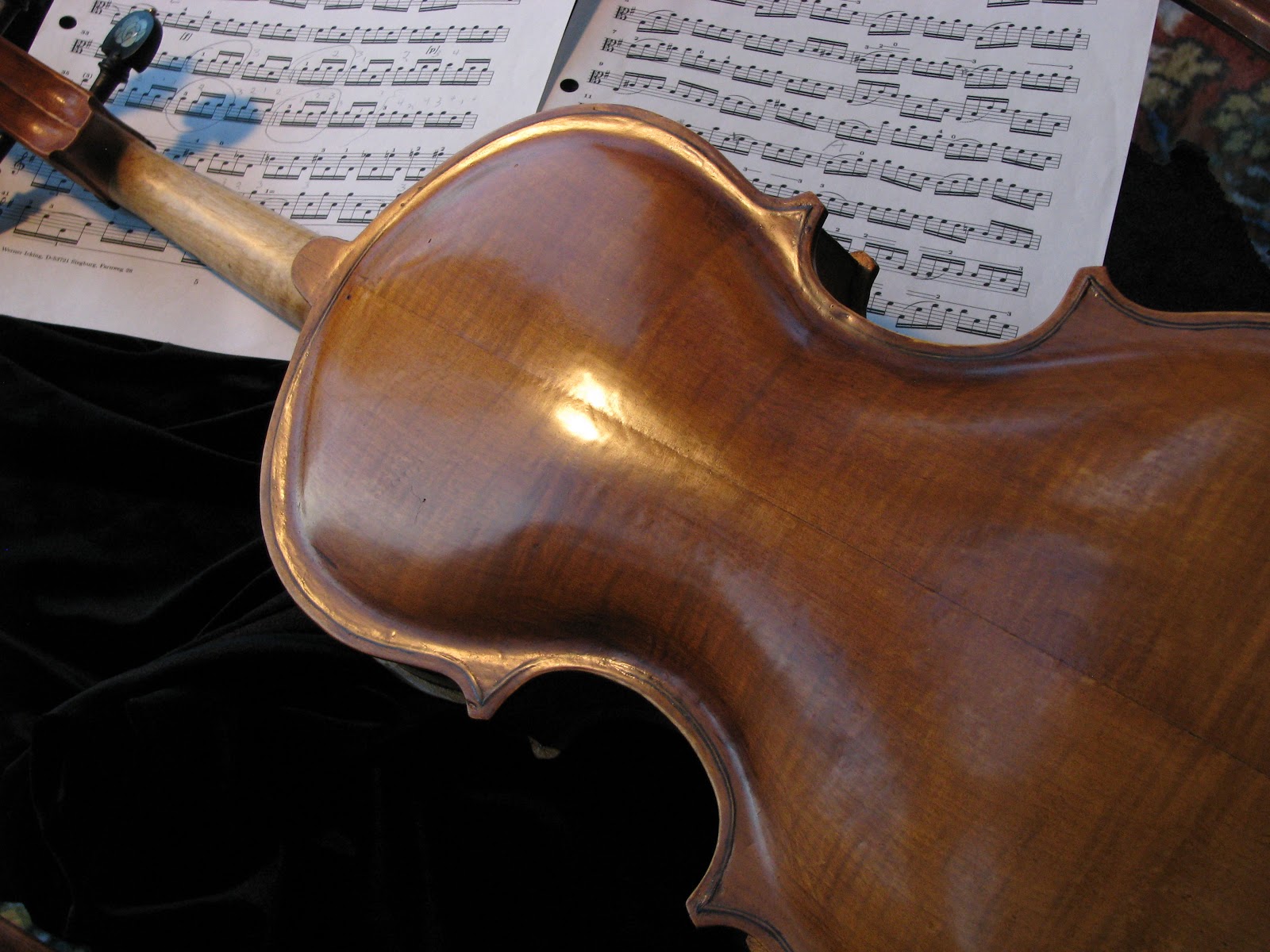 Violins of Plymouth: Tuscan-Medici Violas by Antonio Stradivarius