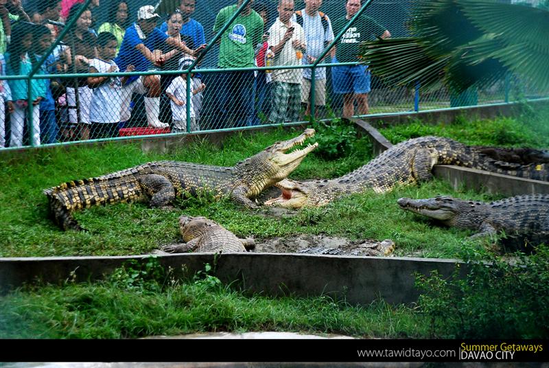 Davao City Tour Philippines: Top 10 Tourist Spots in Davao City