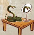 The Snake and the Mirror (Glossary : Meanings with pictures) for 9th ...