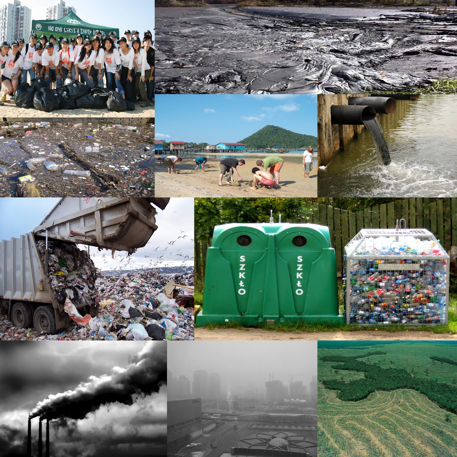 Environment: Collage