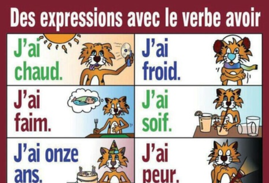 FLE AU LYCÉE: Expressions avec avoir