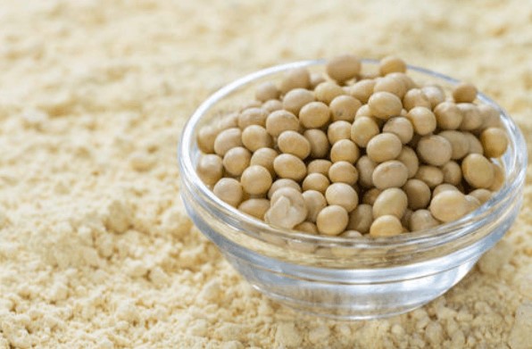 Vegetarian & Vegan Online Supermarket: Organic Pure Instant Soya Milk ...