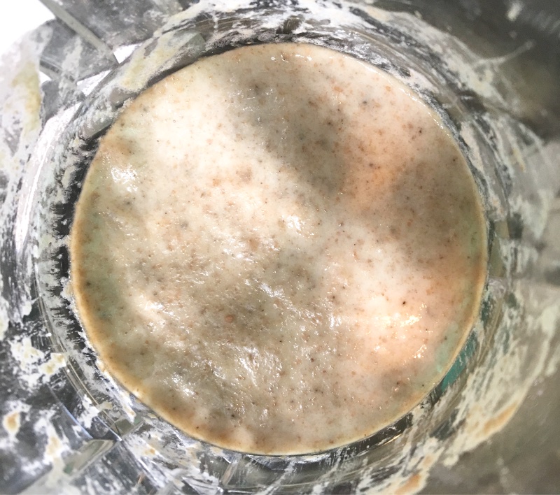 Cara Membuat Sourdough Starter (Ragi Alami)