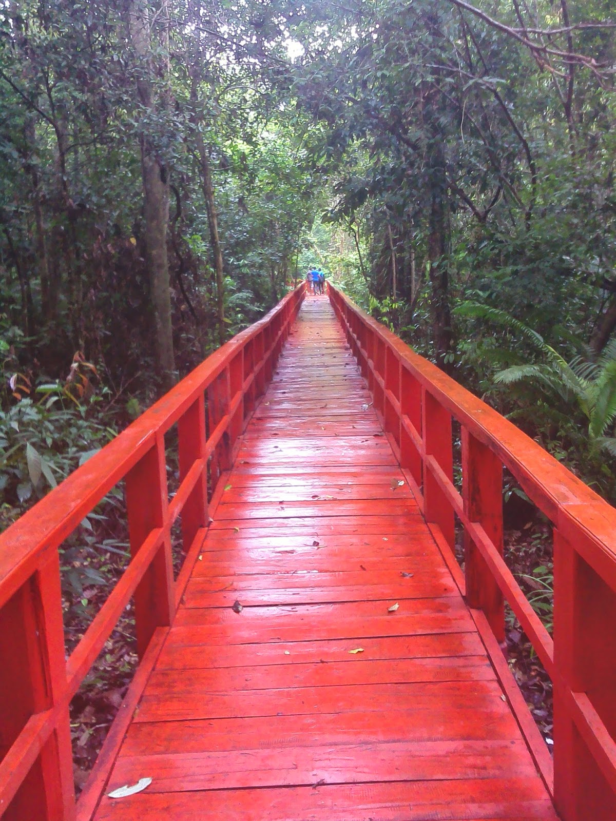 Selamat Berkunjung: Hutan Pelawan, Desa Namang, Bangka Tengah