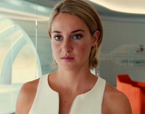 CANON MOVIES: ROBERT SCHWENTKE: TOP FILMS