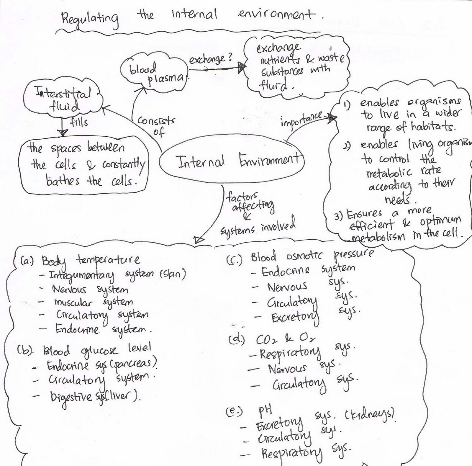 BIOLOGY: Mind map (Regulating internal environment)