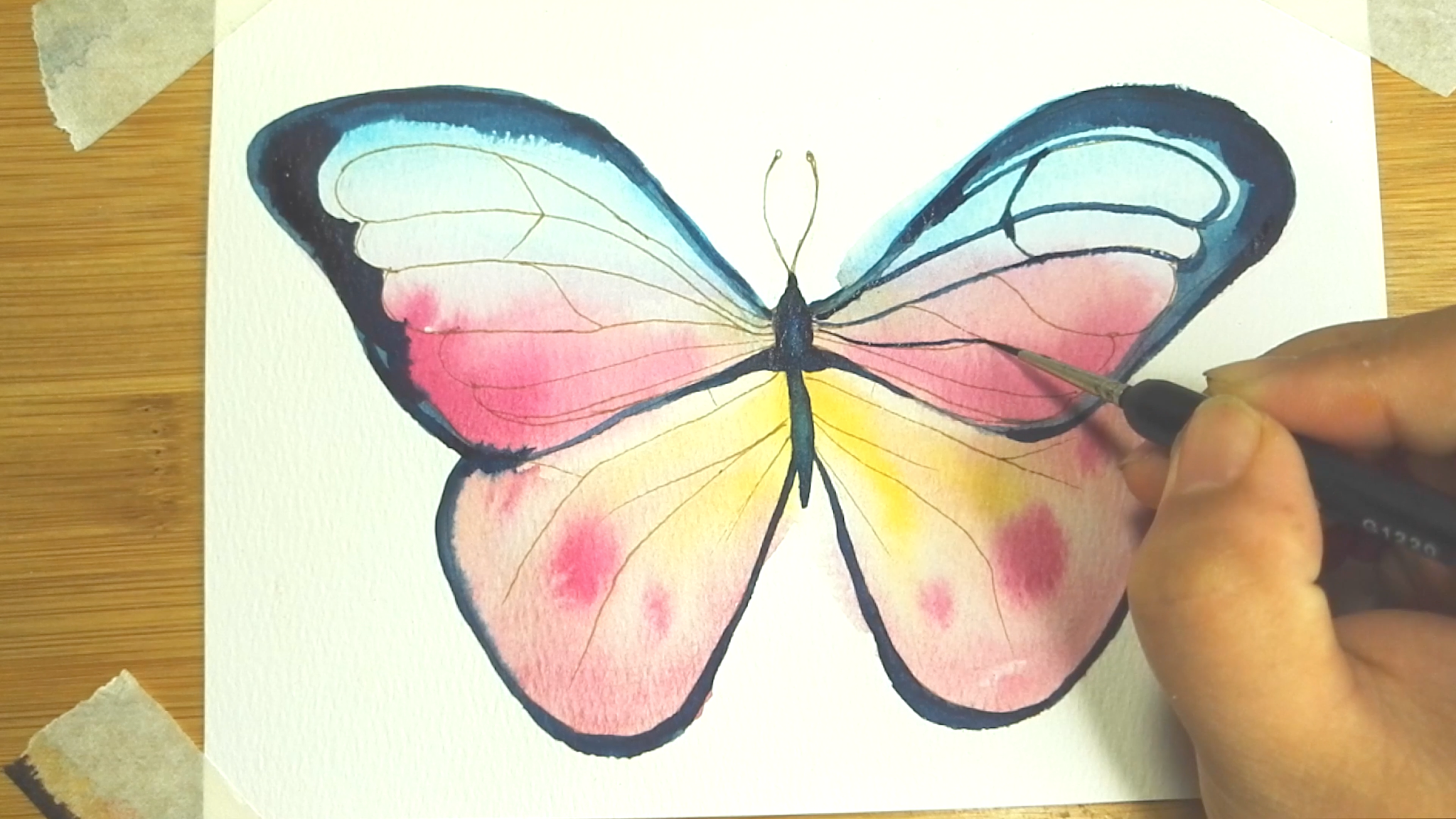 How to draw Watercolor butterfly step by step tutorial easy