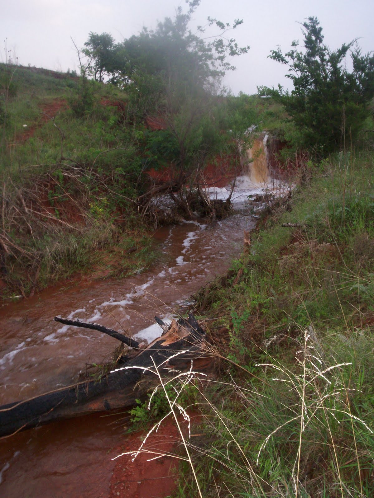 Quadruple C Curiosity: How strong is a beaver dam?