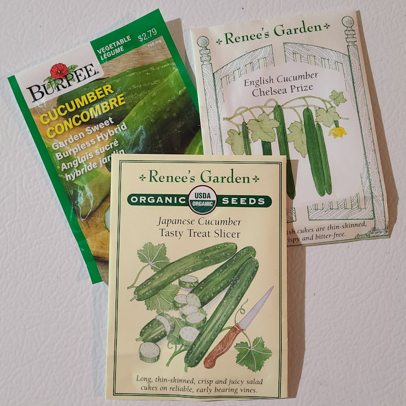 The Gardening Me: Cucumbers - Hoping That This Year is Better Than Last