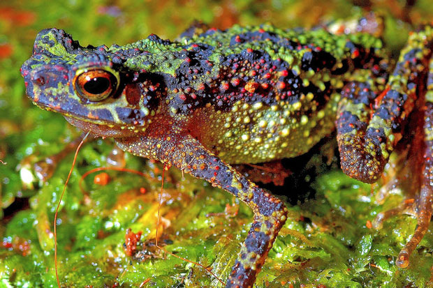 Kuweight 64: 2011-07-10