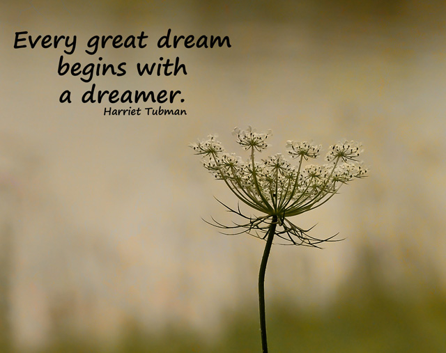 Inspirational Wednesday | ChippaSunshine