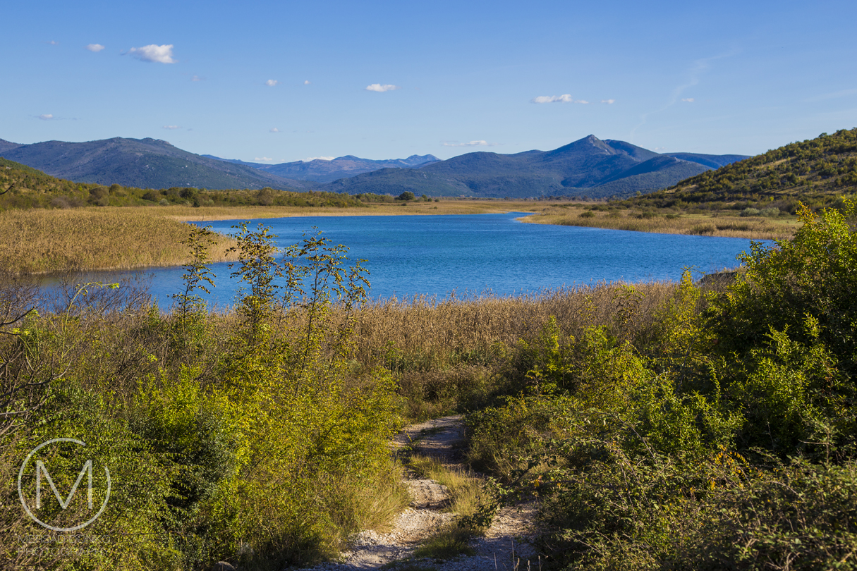 Visiting Hutovo Blato [Part 2/2] The Outer Wetlands - Mersad Donko ...