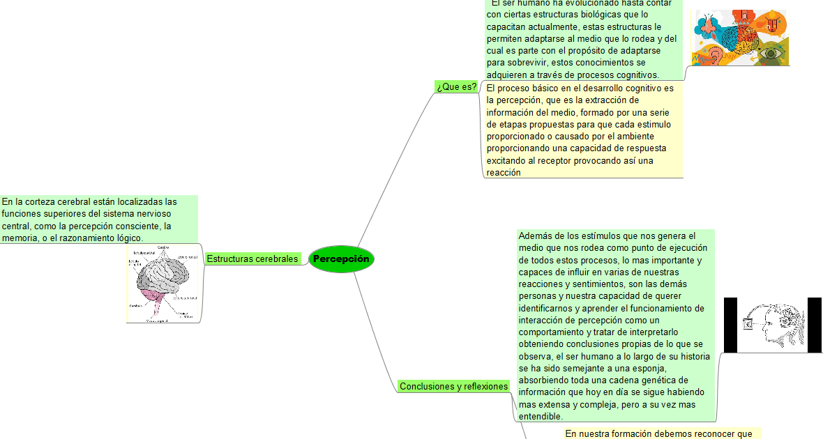 Nicolas Rozo: Mapa mental de la percepción por Nicolas Rozo Curso ...