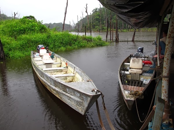 ANGLING WORLD 魔魚釣界: The Exotic Amazon Game Fish - Aimara