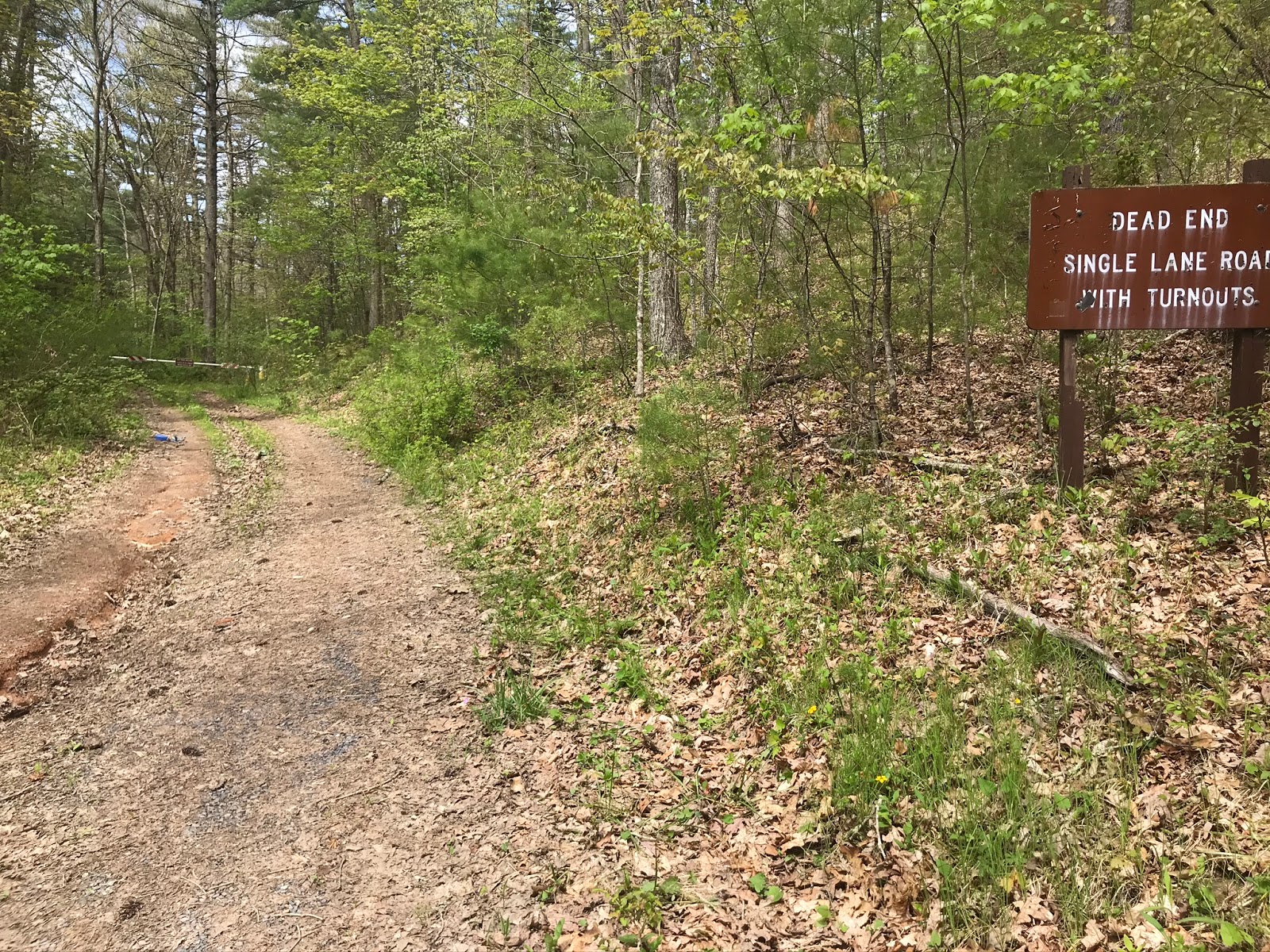 Wandering Virginia: Short Ridge Trail, GWNF