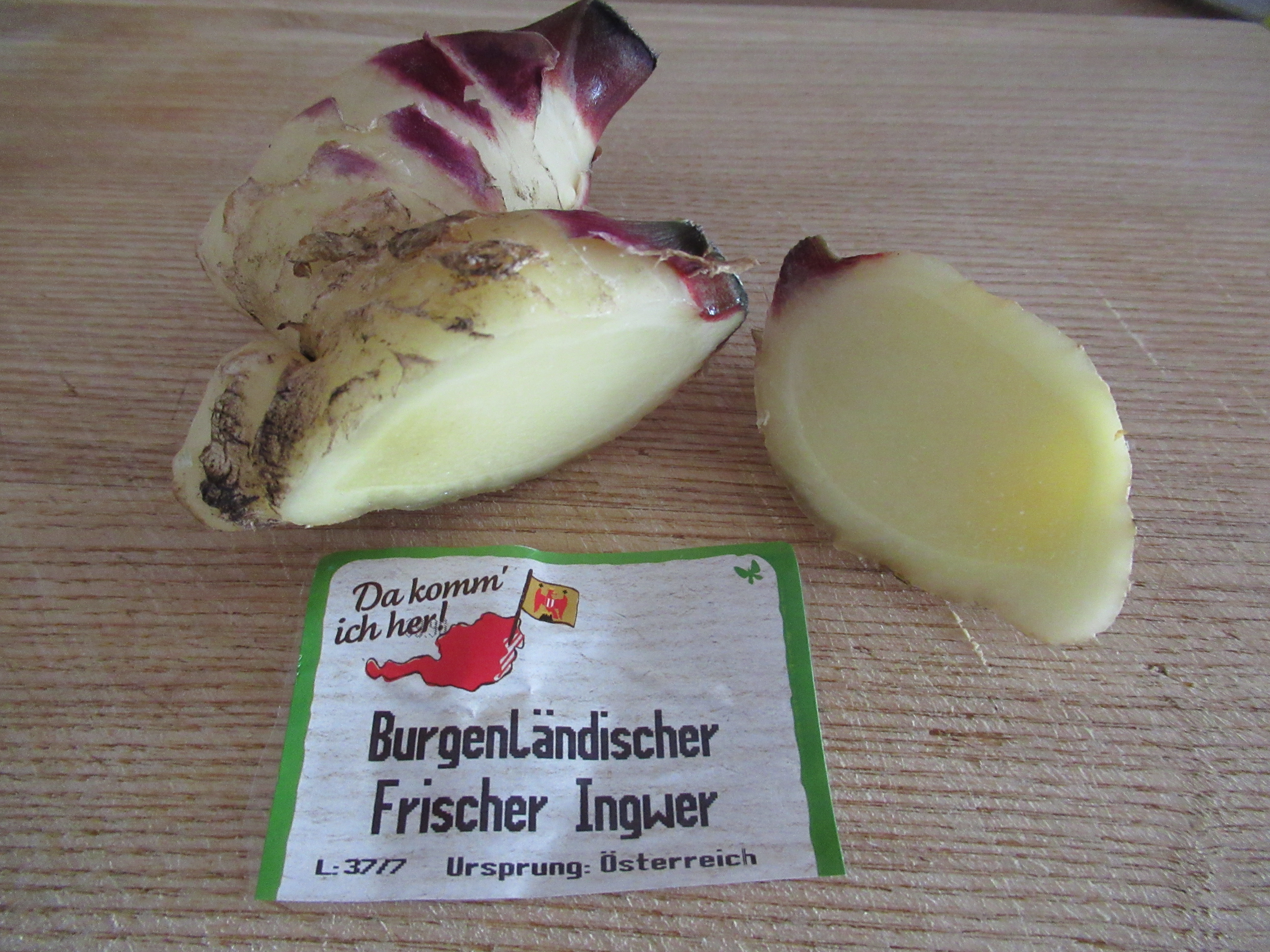 Fliederbaum: ein Ingwerfest feiern