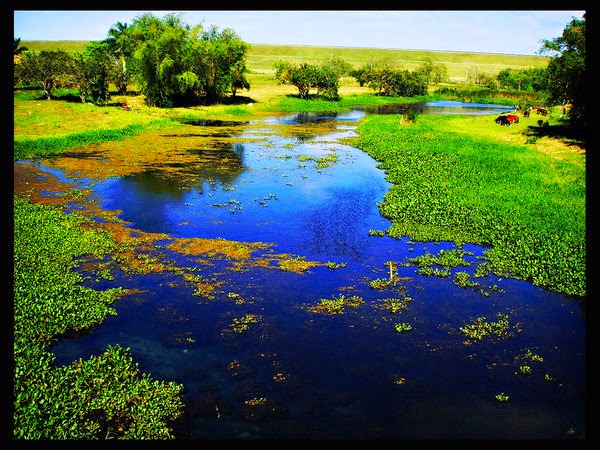ARQUITECTURA CUBA: El Parque Lenin: cuatro décadas después. (I)