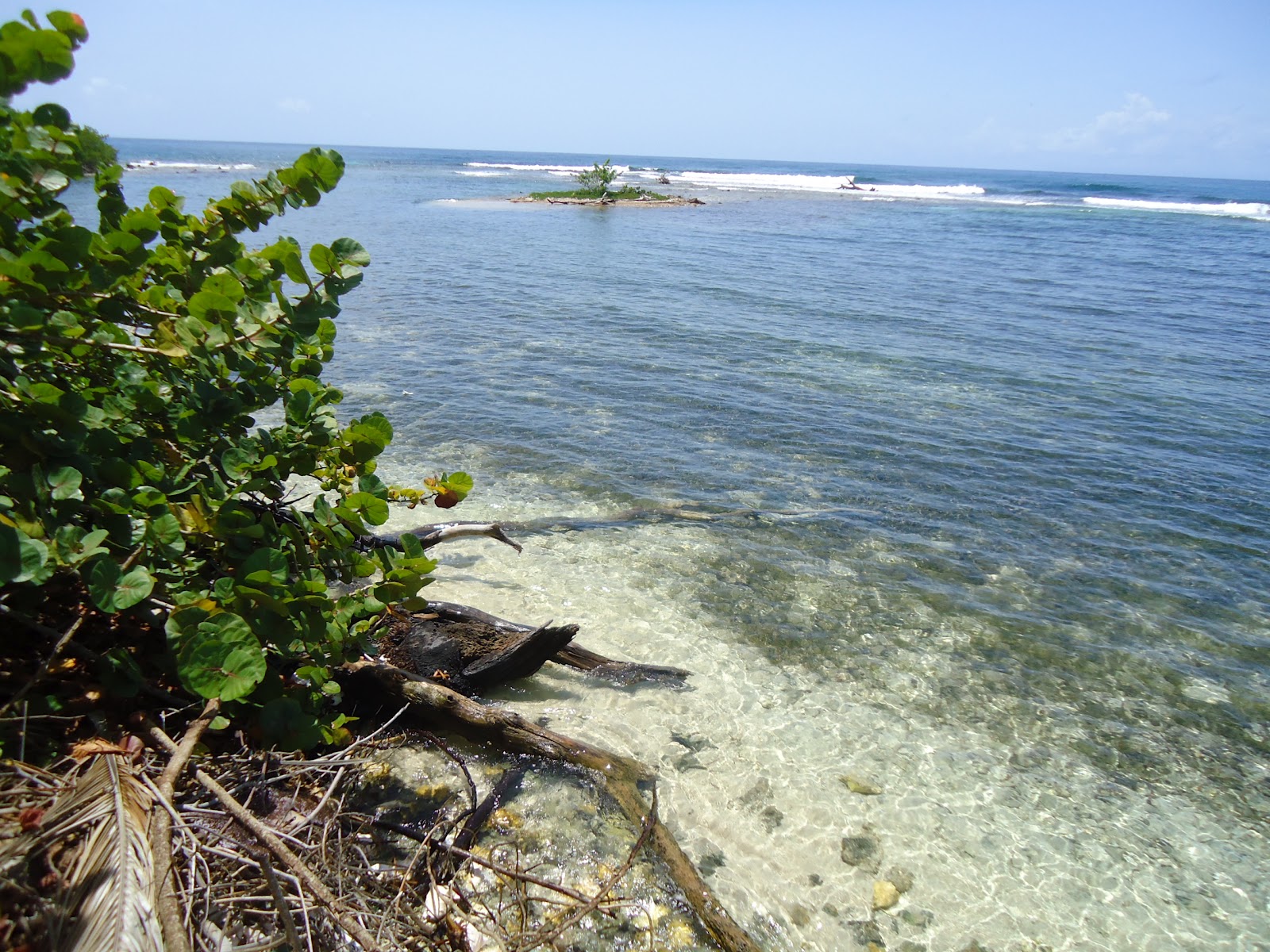 You Better Belize It!: Lime Caye: Our own private island for the weekend!