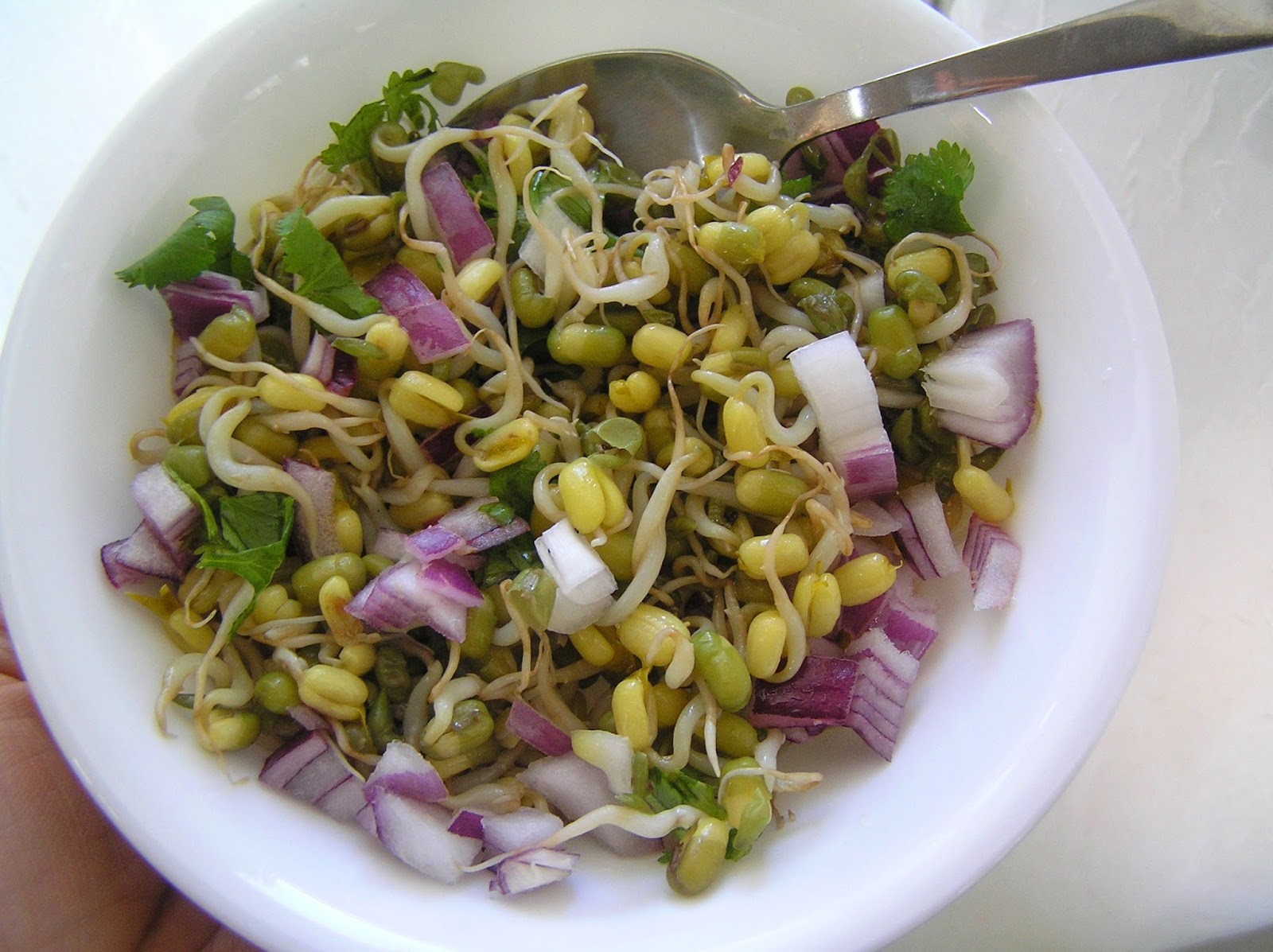 The Melting Pot: Sprouted Green Mung Salad
