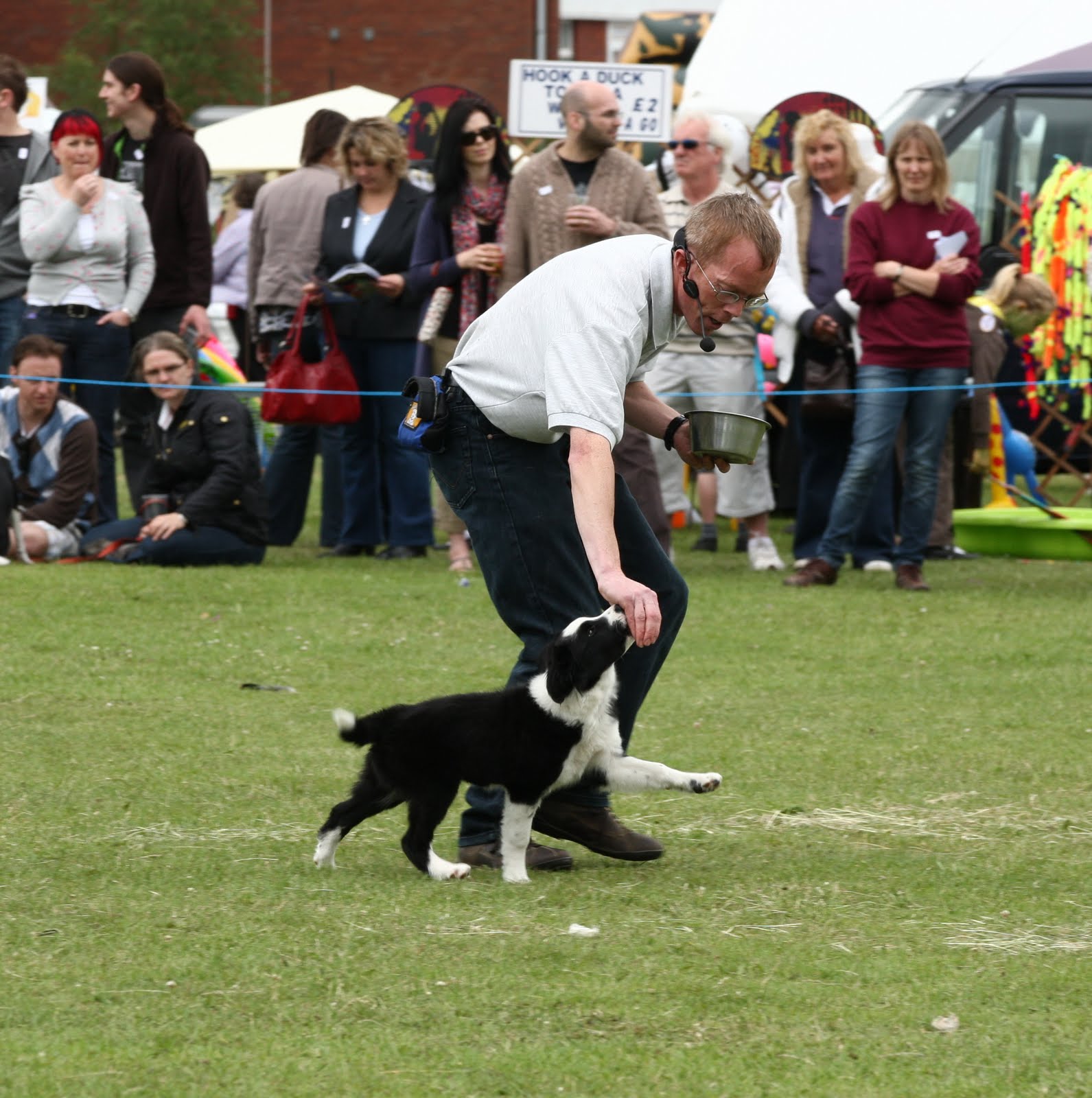 K9 freestyle dancing dogs