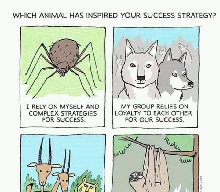 Fishermagical Thought: Which Animal Has Inspired Your Success Strategy?