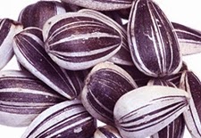 CURIOSIDADES CIENTÍFICAS : Frutos secos indehiscentes (SIMPLES)