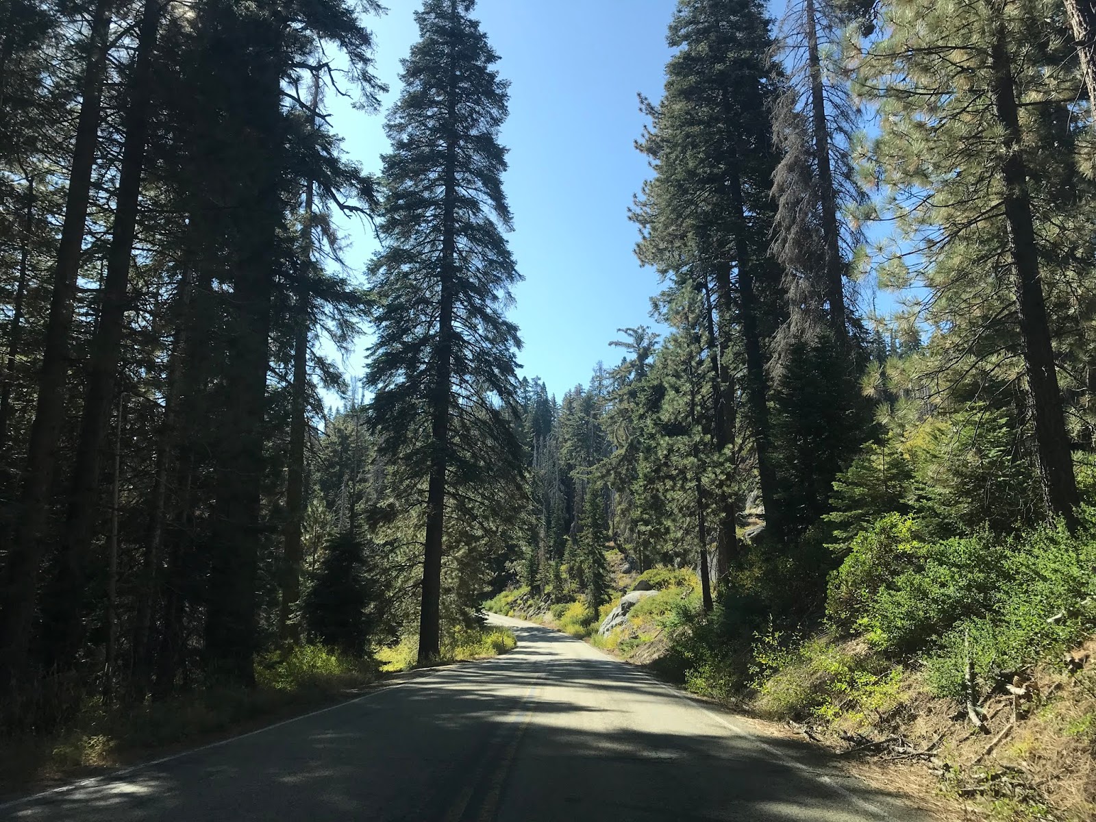 The Generals Highway; connecting Kings Canyon National Park and Sequoia ...