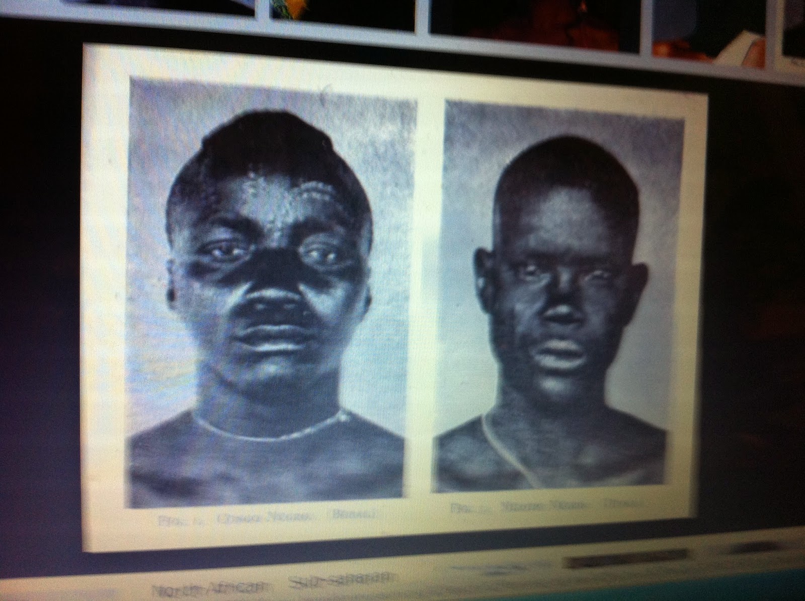 THE BLACK SOCIAL HISTORY:: BLACK SOCIAL HISTORY : NEGROID - IS THE TERM ...