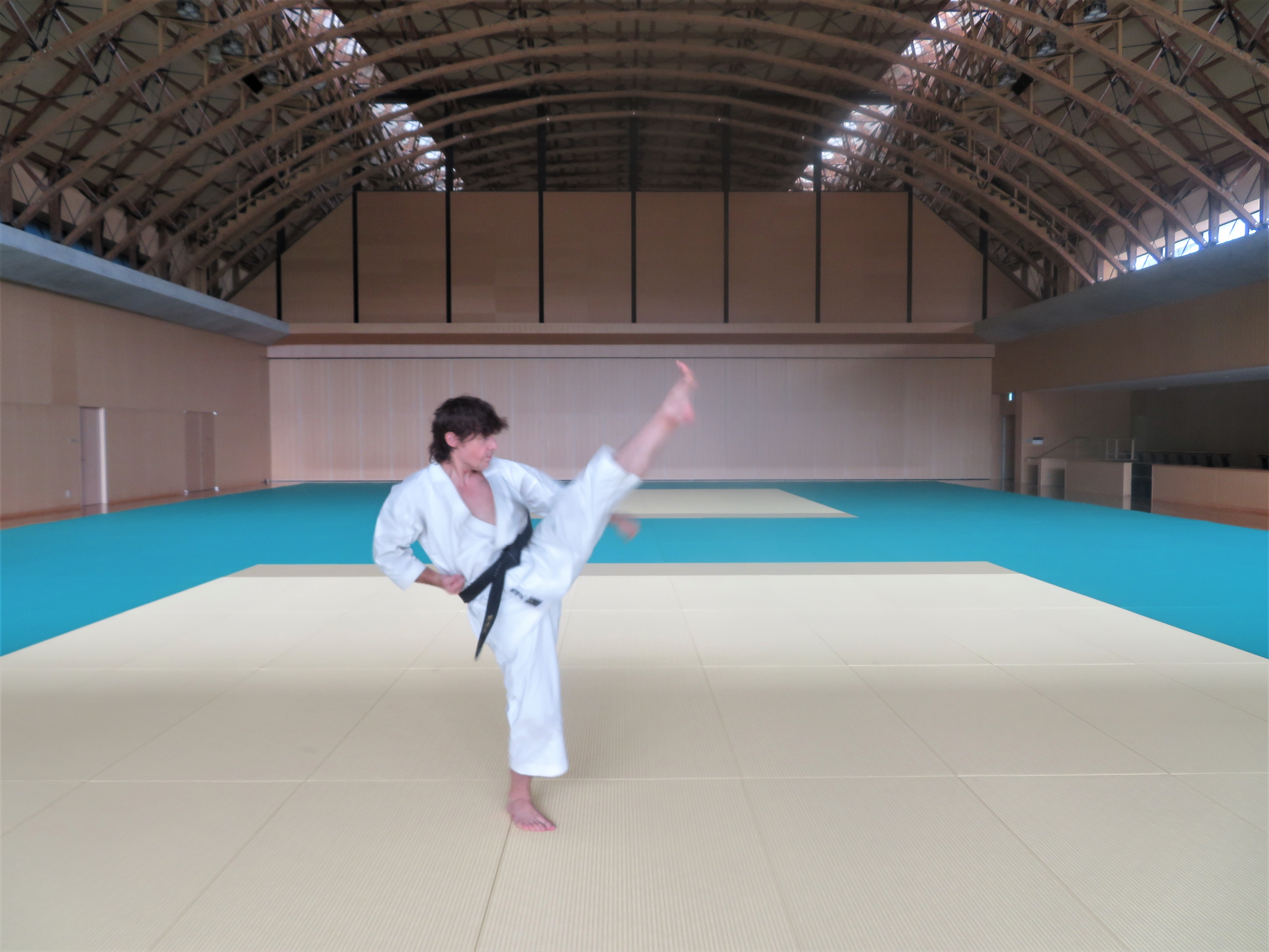 André Bertel's Karate-Do: 順路 (PART 2): Deeper Aspects of the Junro kata