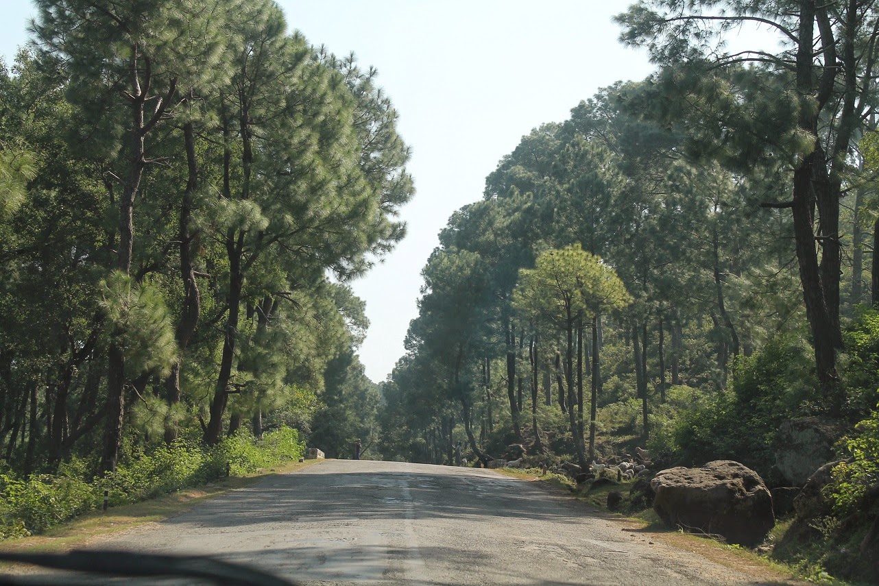 EXPLORING THE EXOTIC JAMMU & KASHMIR REGION: A Sunday drive off to ...