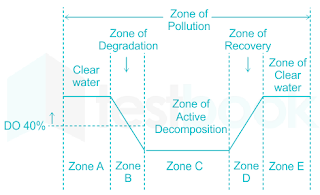 Self Purification of Stream - Environmental Engineering ~ Civil ...